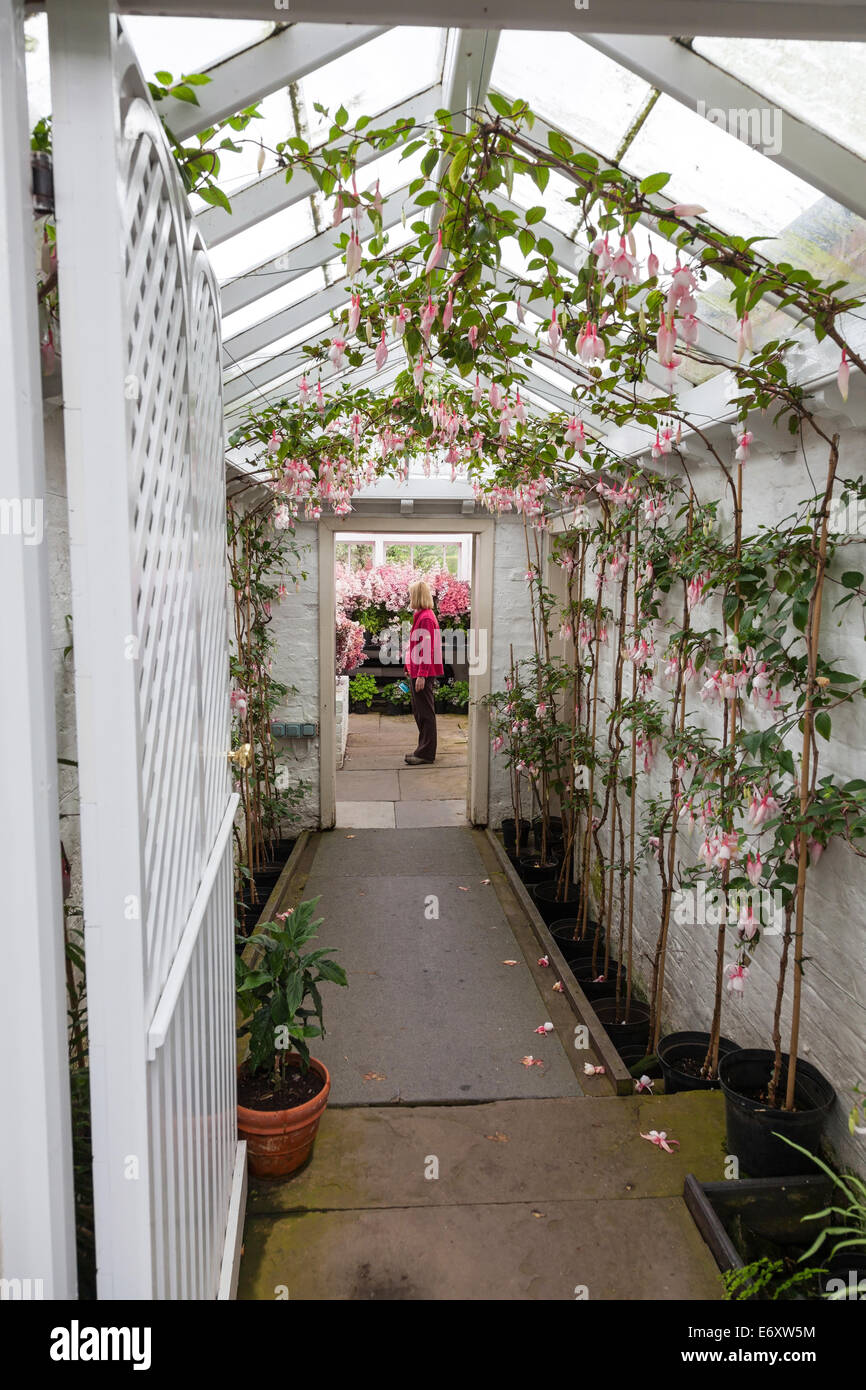 Tatton Hall Tatton Park gardens Tatton Cheshire England UK Stock Photo ...