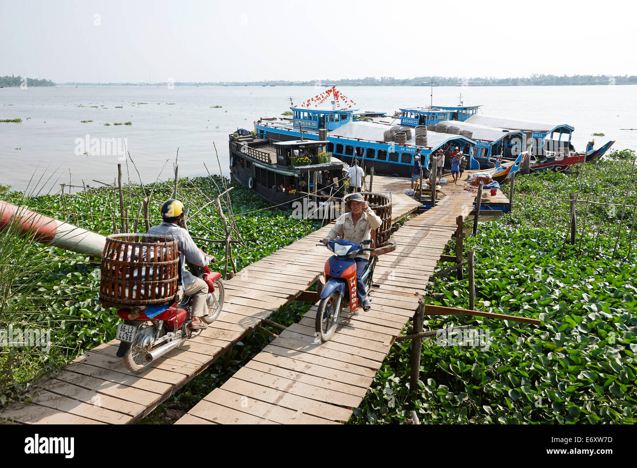 Human breeding hi-res stock photography and images - Alamy