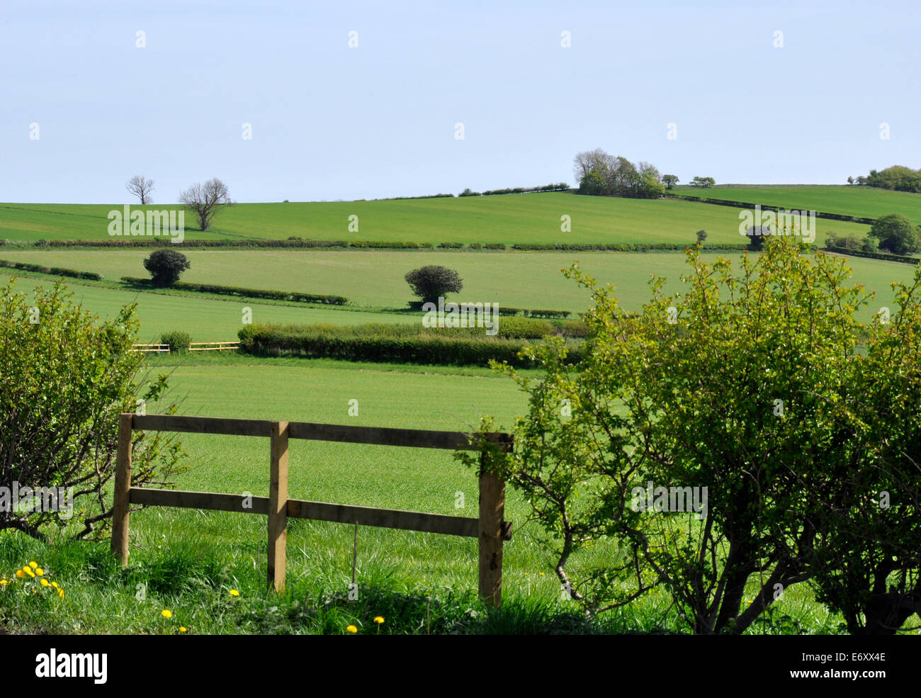 View of farmland in Yorkshire countryside Stock Photo - Alamy
