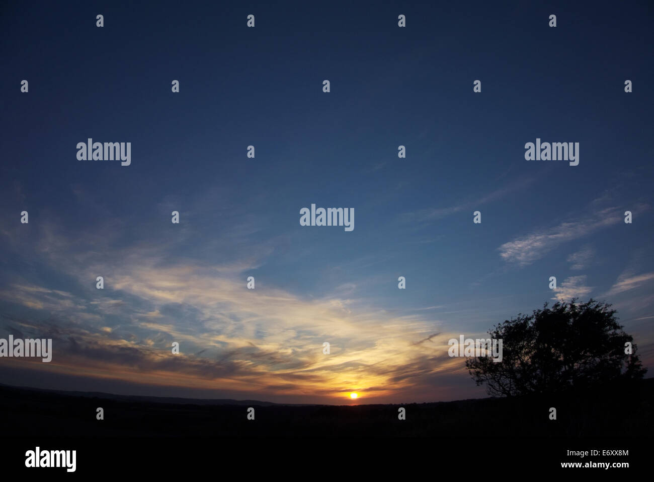 Sunset in West Cornwall with tree silhouette Stock Photo - Alamy