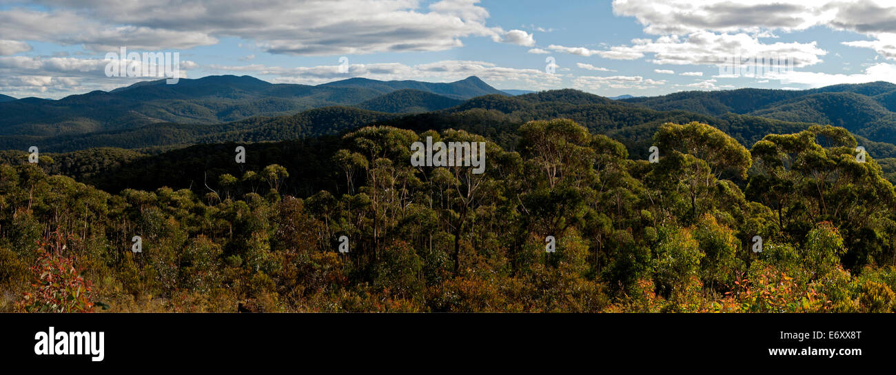 Mealing park hi-res stock photography and images - Alamy