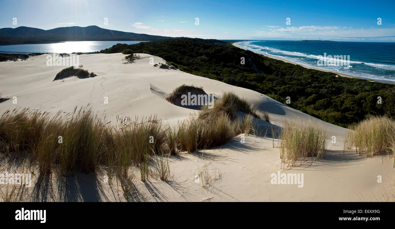 Sand dunes in the Cape Howe Wilderness, Croajingolong National Park ...