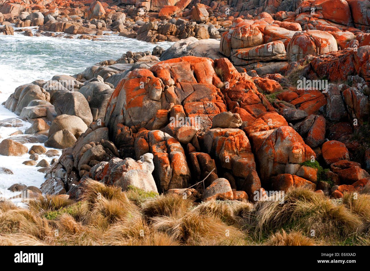 Lichen covered granite rocks at point hicks hi-res stock photography ...