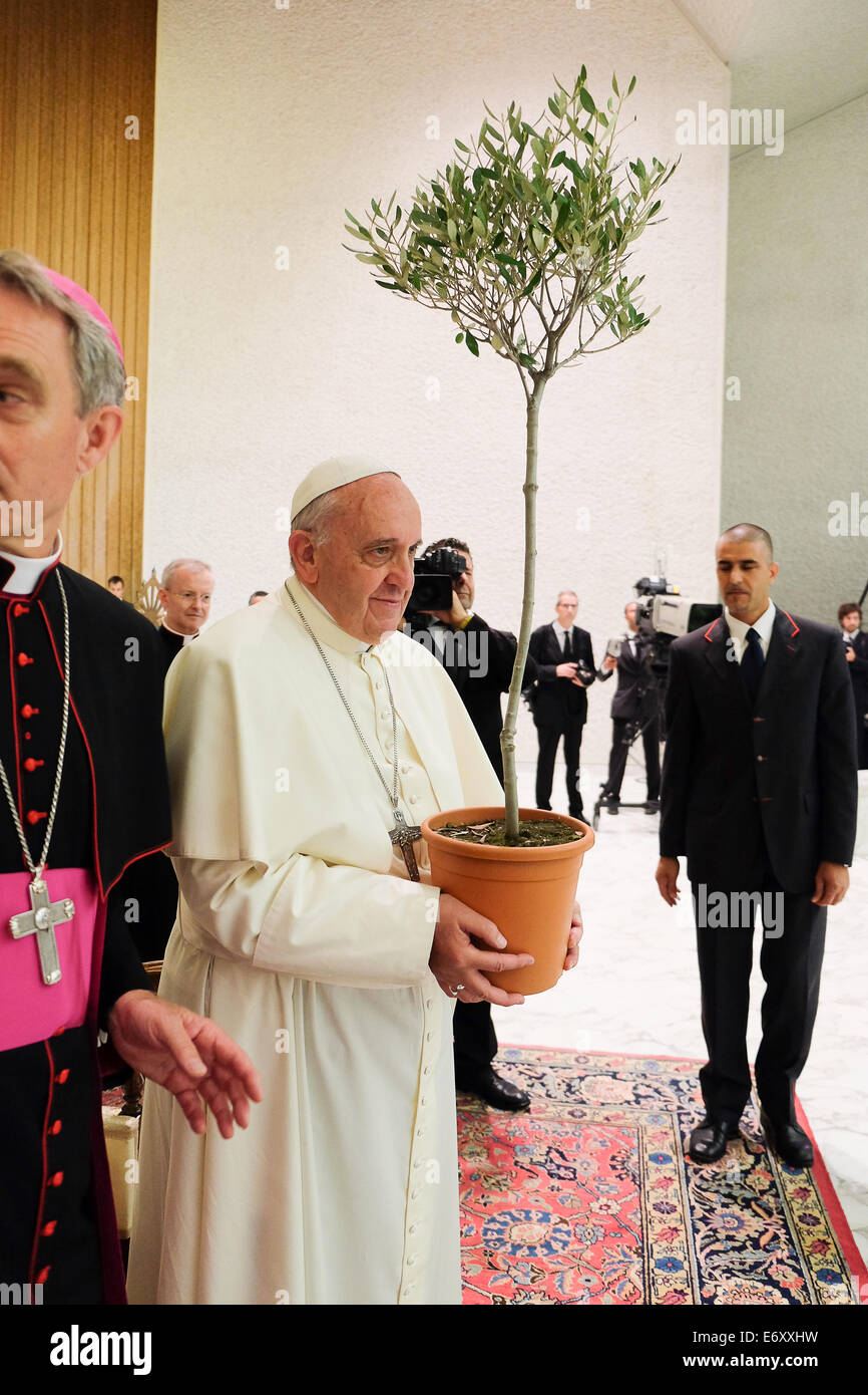 Pope francis tree hi-res stock photography and images - Alamy