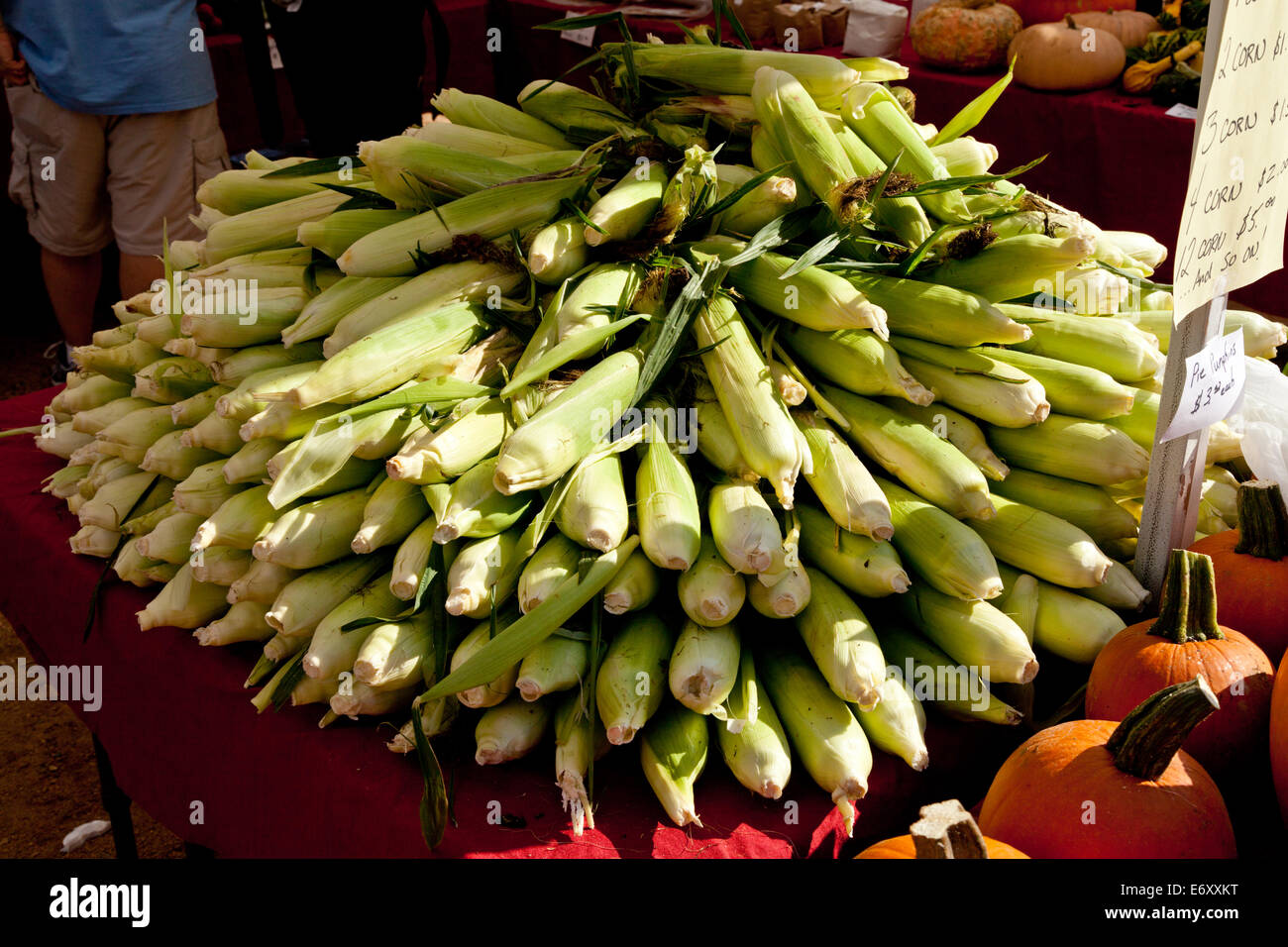 A pile of sweetcorn piled up ready for sale on a stall at Carrboro ...