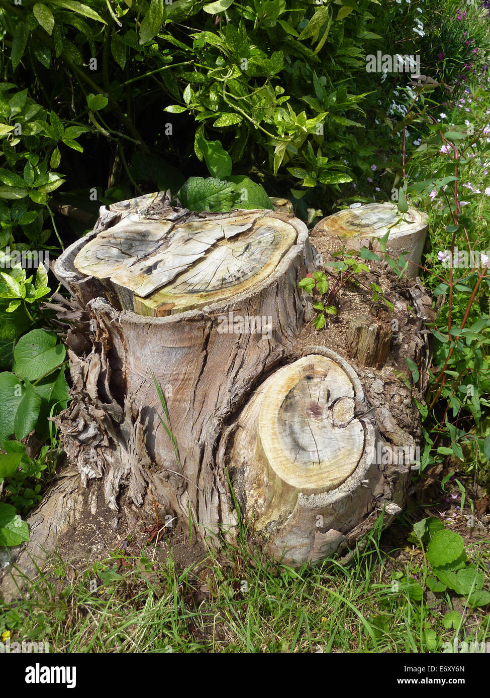 Upright view hi-res stock photography and images - Alamy
