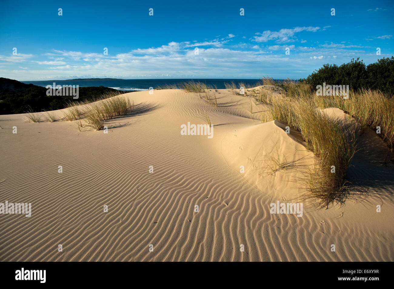 Sand dunes in the Cape Howe Wilderness, Croajingolong National Park ...