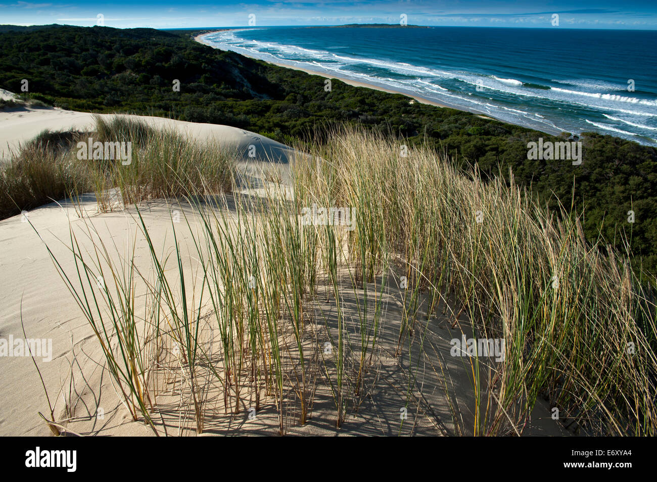 Sand dunes in the Cape Howe Wilderness, Croajingolong National park ...