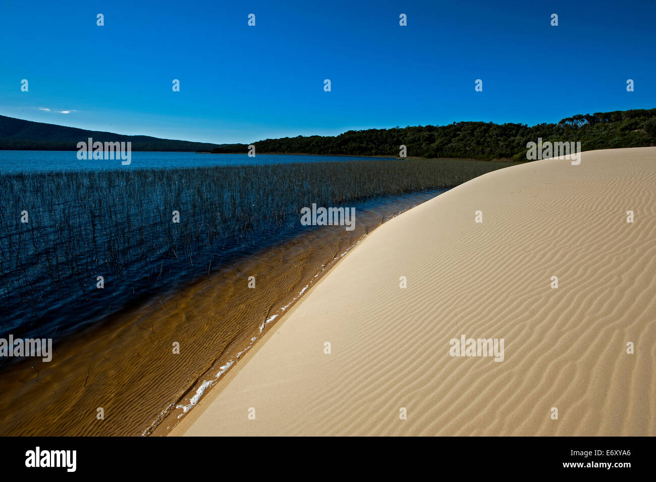 Lake Barracoota in the Cape Howe Wilderness, Croajingolong National ...