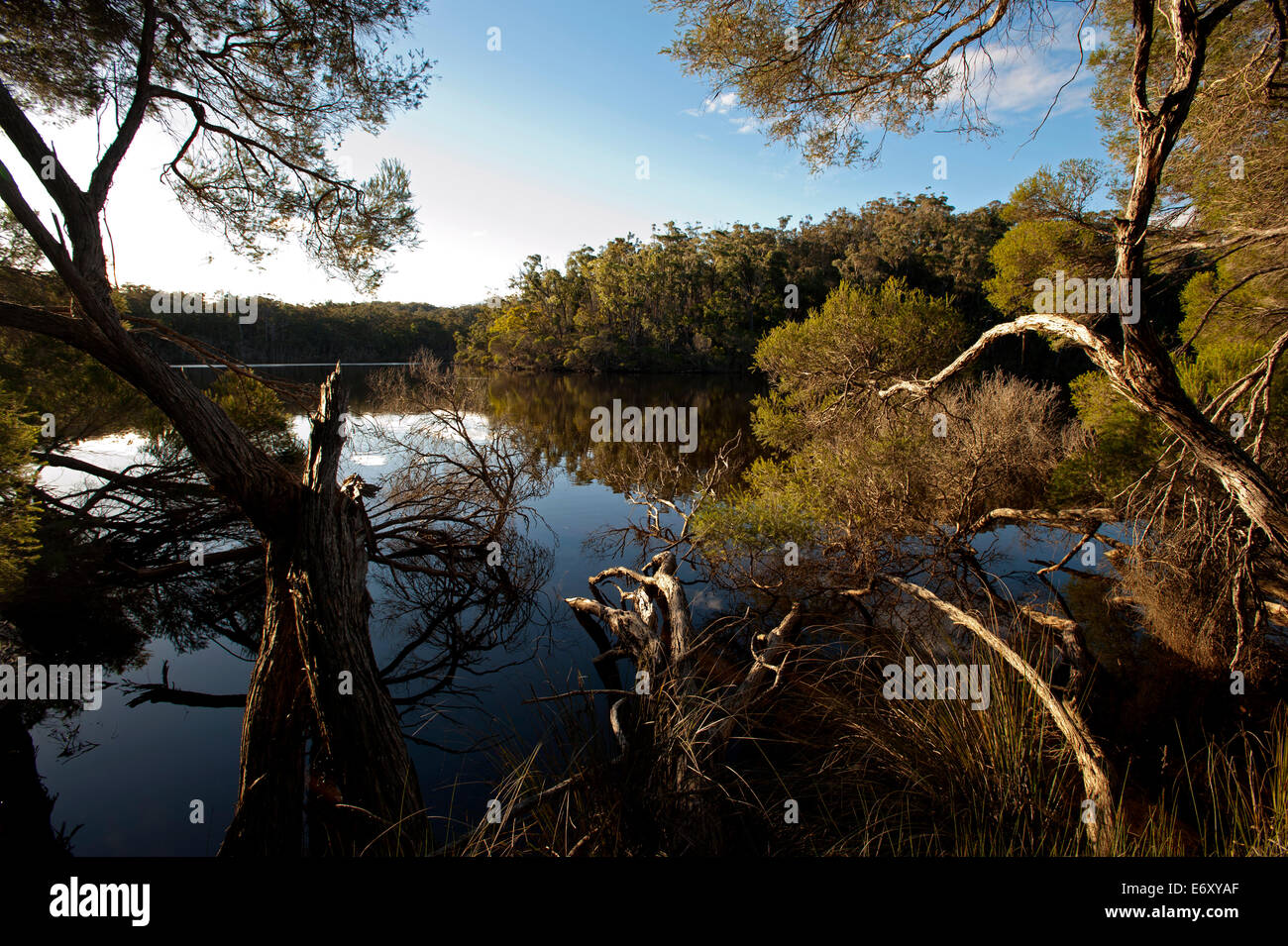 Mallacoota inlet with reflection hi-res stock photography and images ...