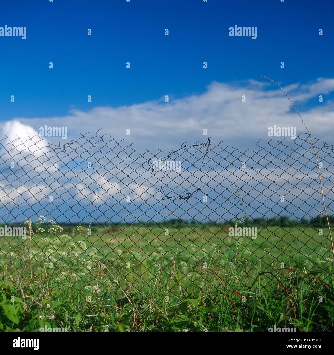 A fence in a field Stock Photo - Alamy