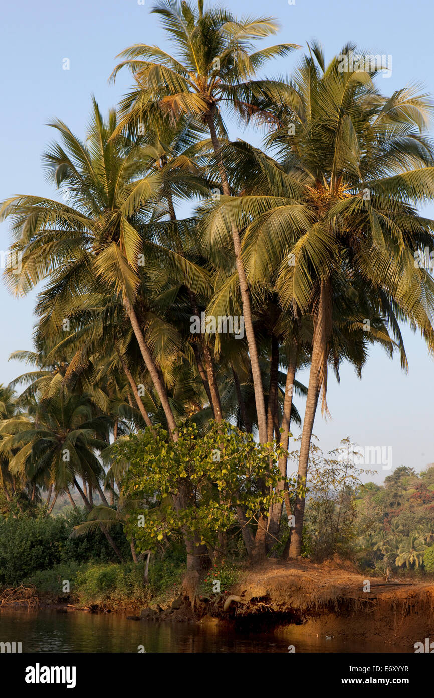 Riverside riverside riverside riverside trees hi-res stock photography ...