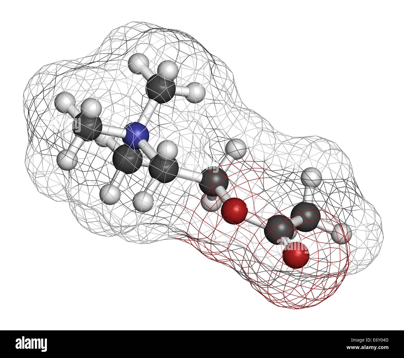 Acetylchloline (ACh) neurotransmitter molecule. Atoms are represented ...