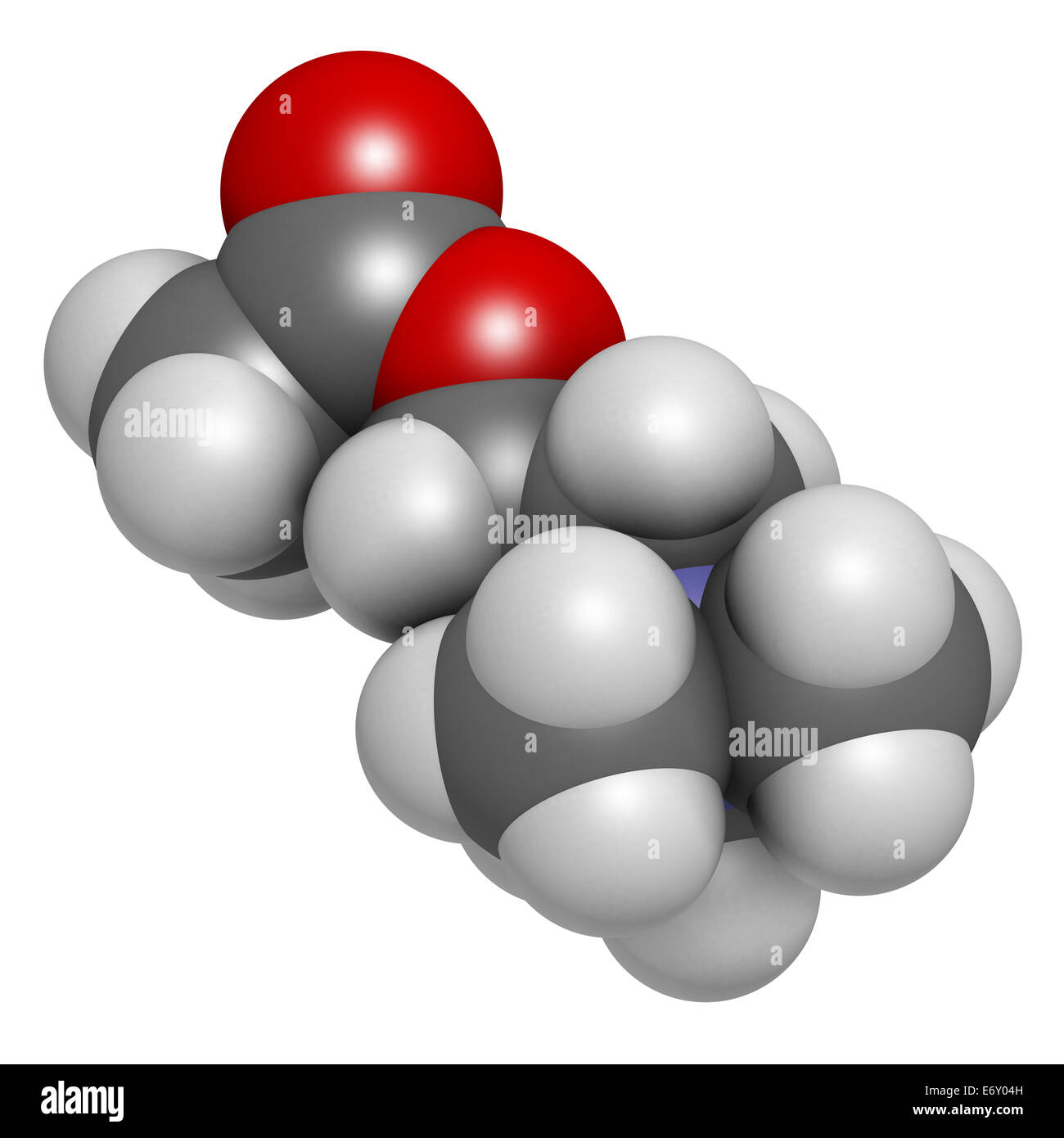 Acetylchloline (ACh) neurotransmitter molecule. Atoms are represented ...