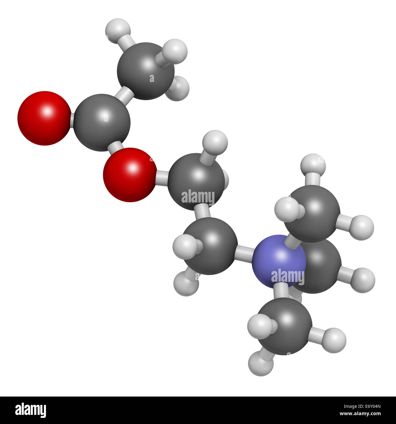 Acetylchloline (ACh) neurotransmitter molecule. Atoms are represented ...