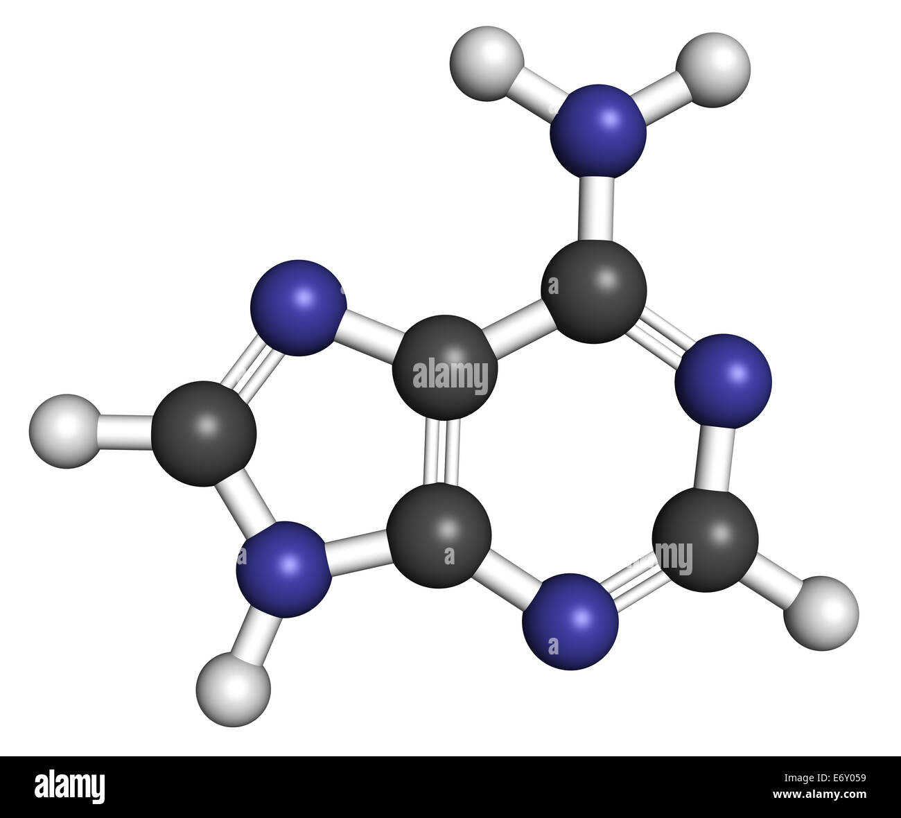 Adenine In Dna