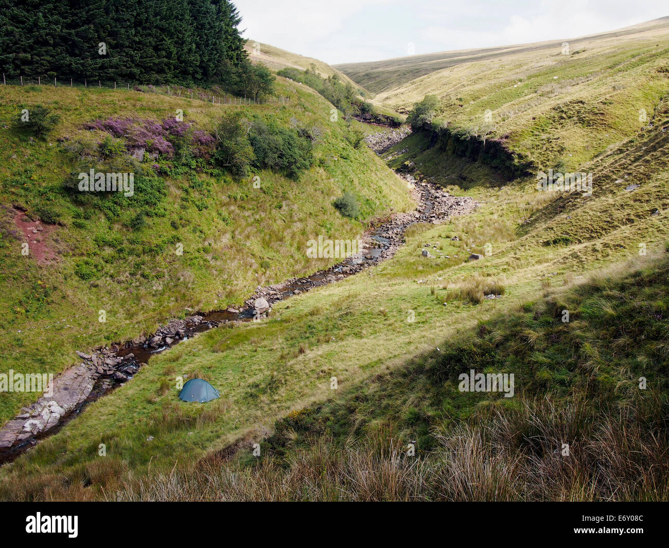 Stream downcutting hi-res stock photography and images - Alamy