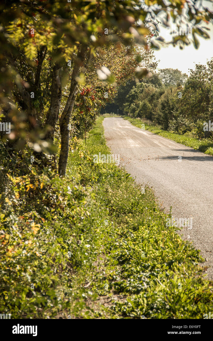 Road in the country side Stock Photo - Alamy