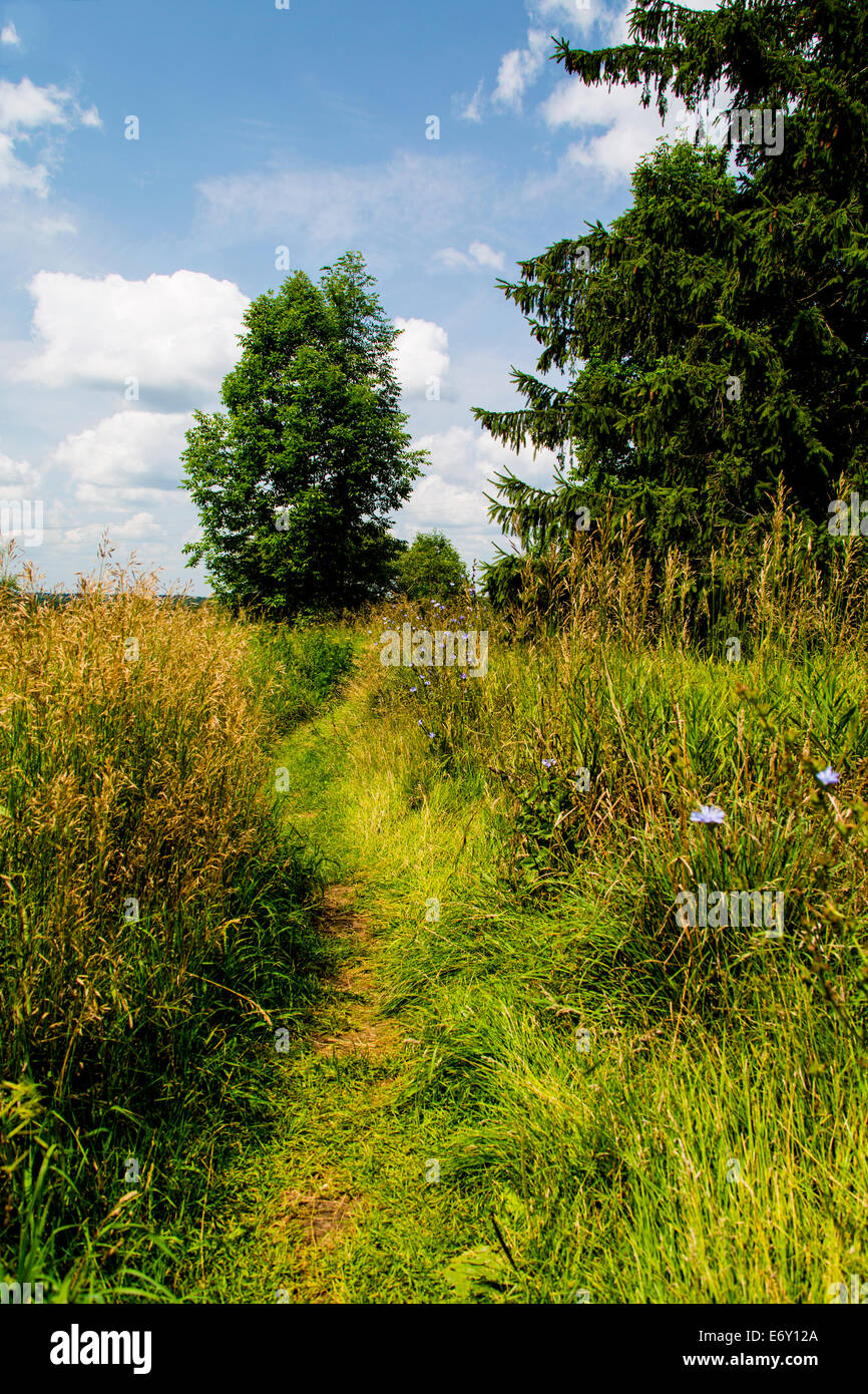 Paths path pathways pathway hi-res stock photography and images - Alamy