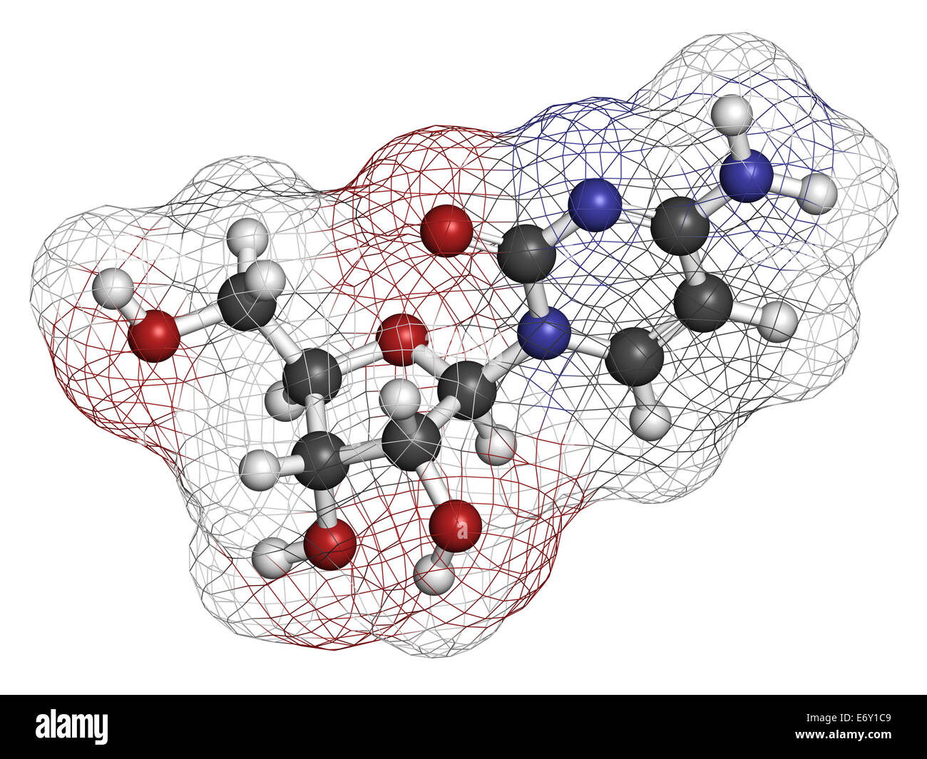 Building Blocks Of Large Molecules at Waldo Ross blog