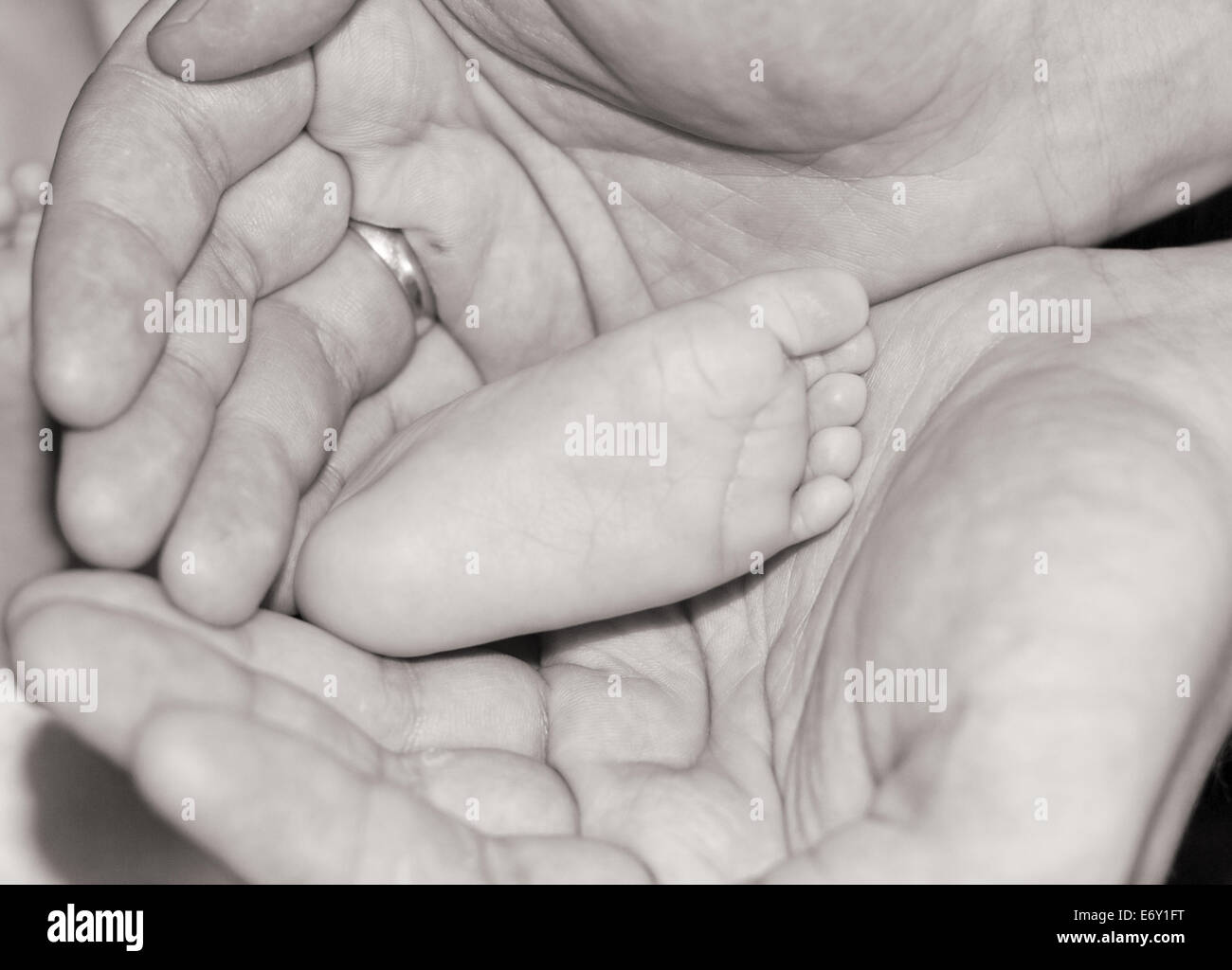 Newborn baby foot Stock Photo - Alamy