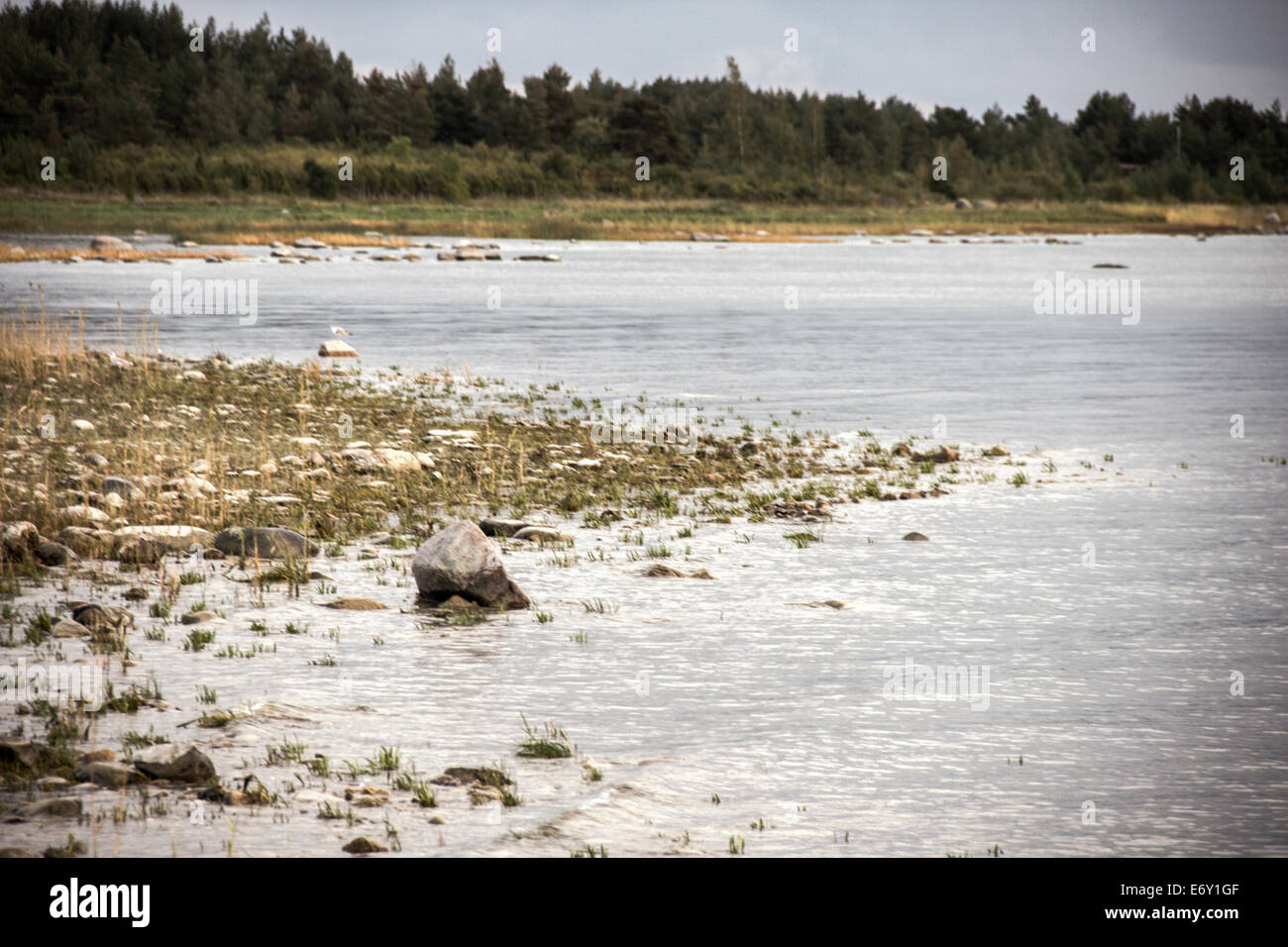 Puhtu wilderness park in Estonia Stock Photo - Alamy