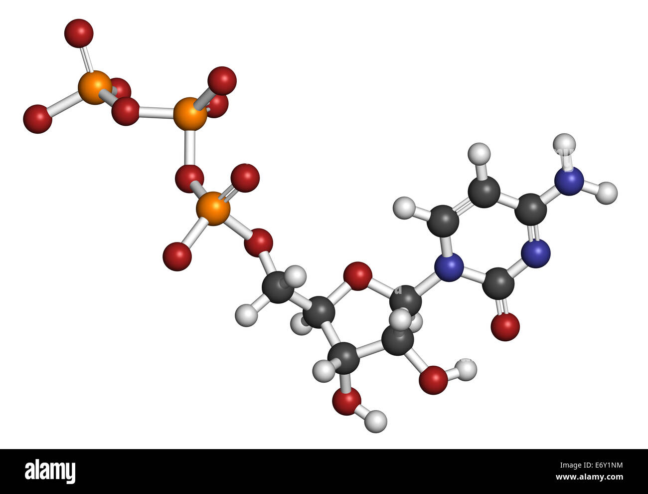 Cytidine rna building block molecule hi-res stock photography and ...