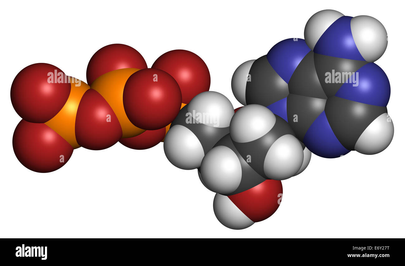 Deoxyadenosine nucleoside molecule hi-res stock photography and images ...
