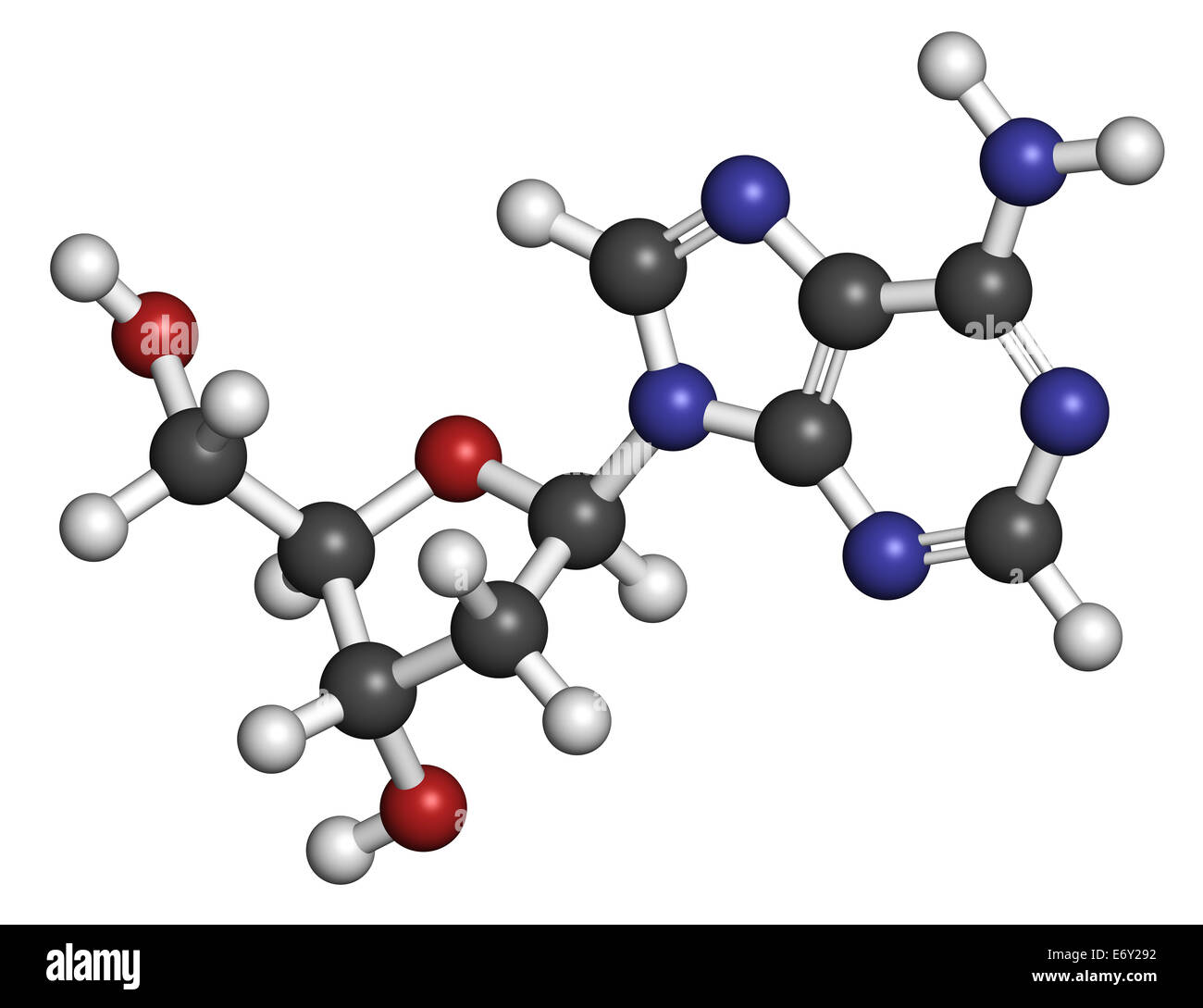 Deoxyadenosine (dA) nucleoside molecule. DNA building block. Atoms are ...