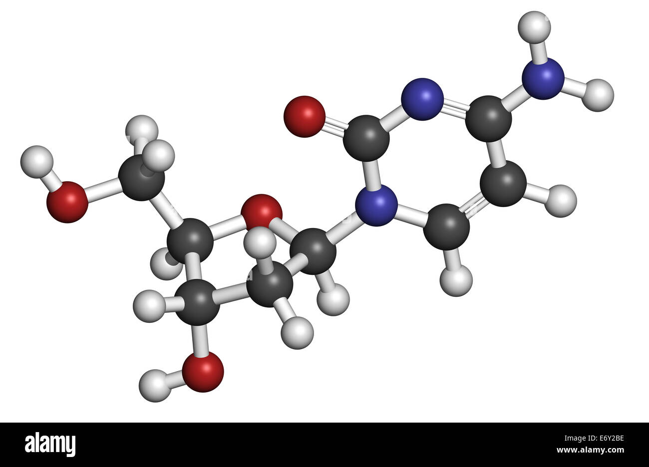 Building Blocks Of Dna