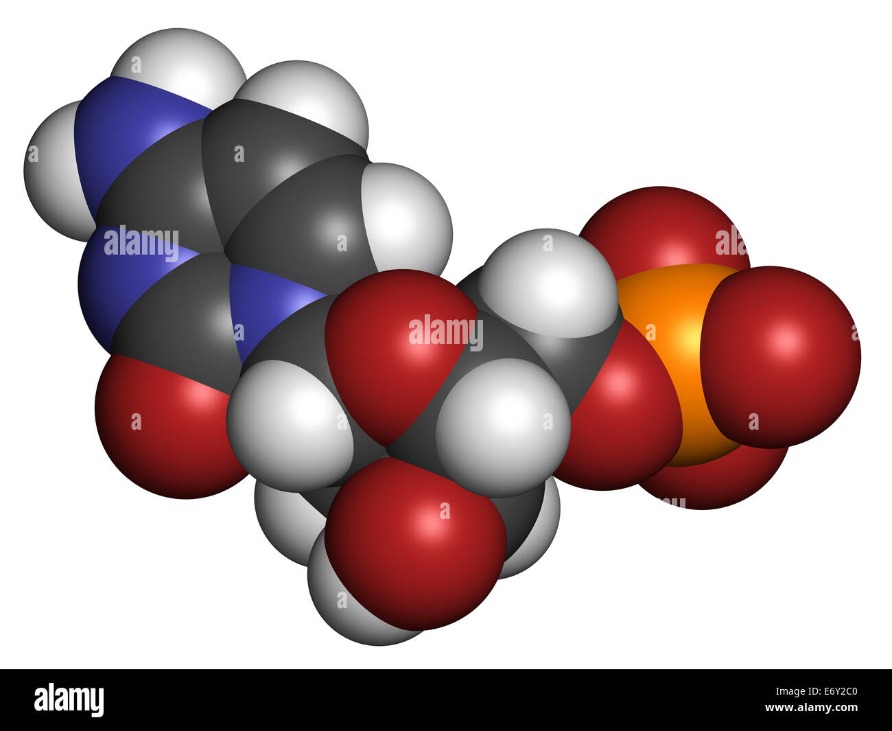 Cytidine triphosphate hi-res stock photography and images - Alamy