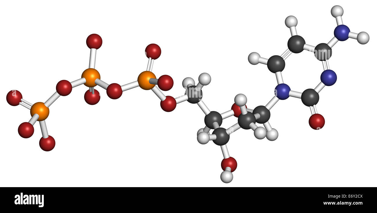 Deoxycytidine triphosphate nucleotide molecule hi-res stock photography ...