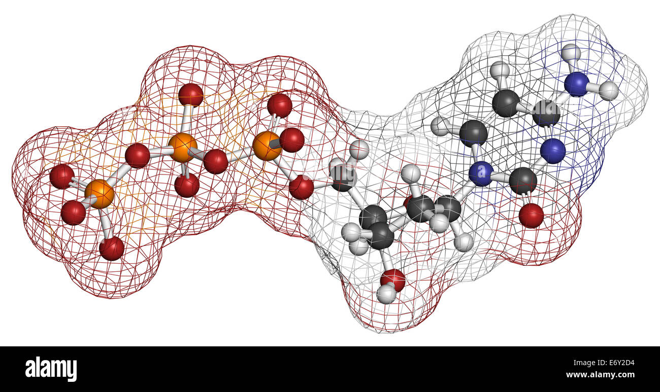Deoxycytidine triphosphate nucleotide molecule hi-res stock photography ...