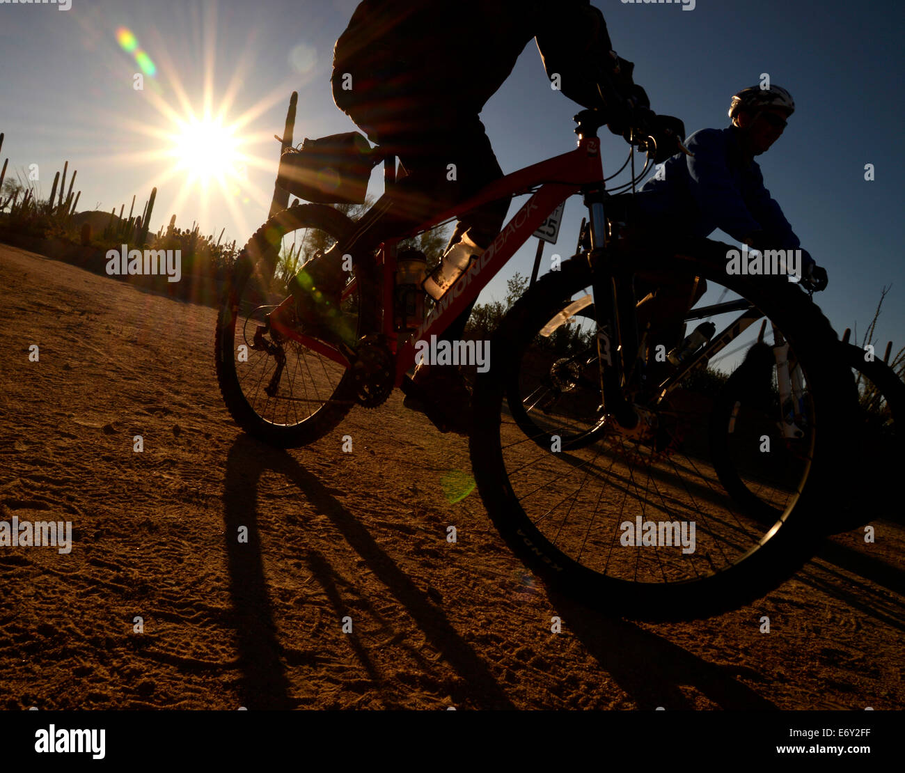Bajada loop drive saguaro hi-res stock photography and images - Alamy