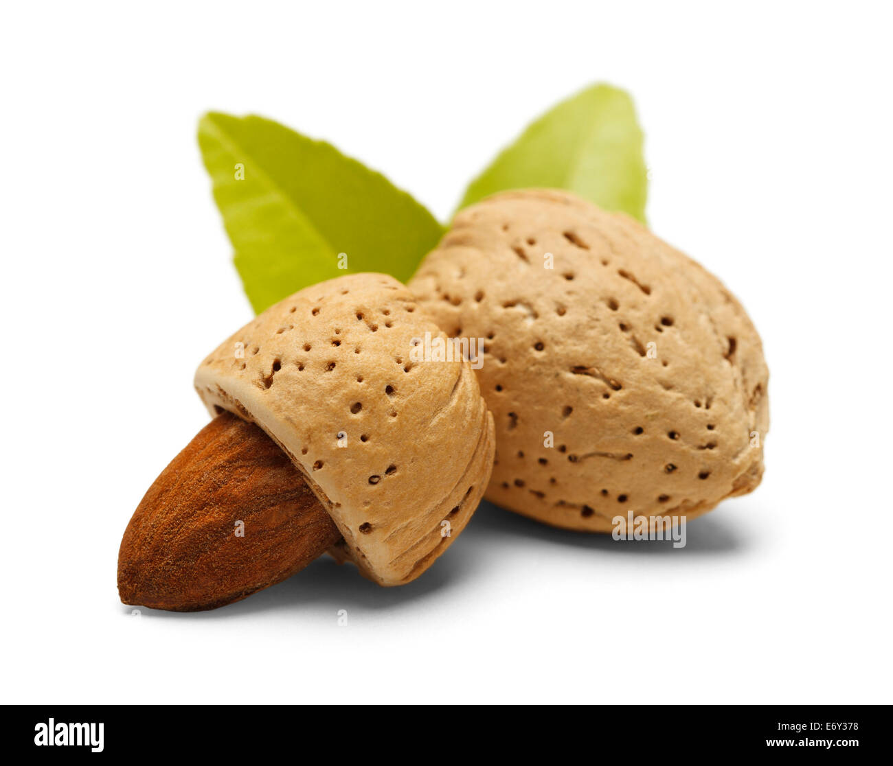 Almonds with Shells and Green Leaves Isolated on White Background Stock ...