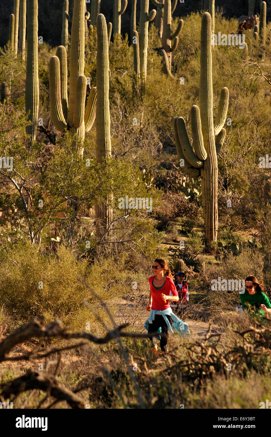 Bajada loop hi-res stock photography and images - Alamy