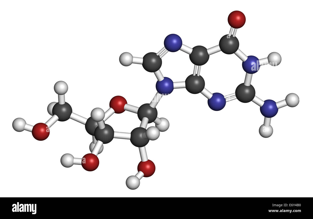 Guanosine purine nucleoside molecule. Important component of GTP, GDP ...