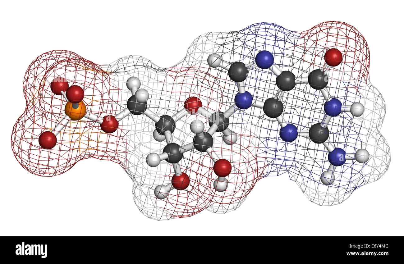 Guanosine monophosphate (GMP, guanylic acid) RNA building block ...