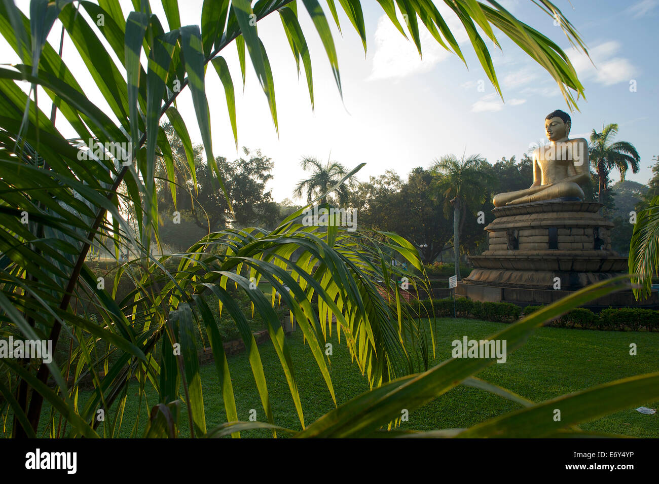 Buddha Statue in Viharamahadevi Park, Colombo, Sri Lanka, South Asia ...