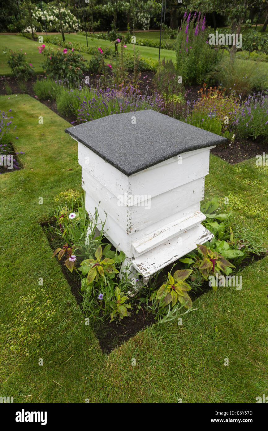 Traditional white wooden beehive in a garden, in the grounds of ...