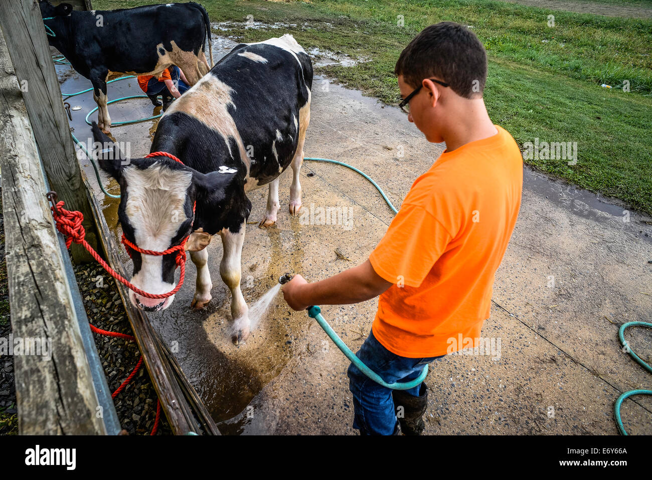 Lampeter Strasberg country fair, Lancaster county, PA Stock Photo - Alamy