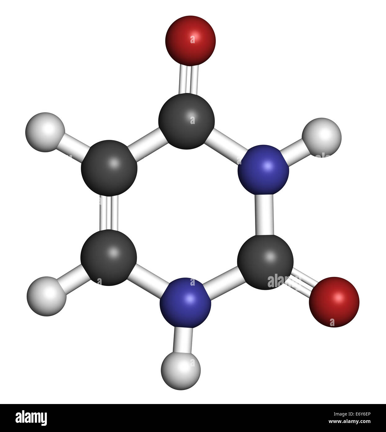 Uracil (U) nucleobase molecule. Present in ribonucleic acid (RNA ...
