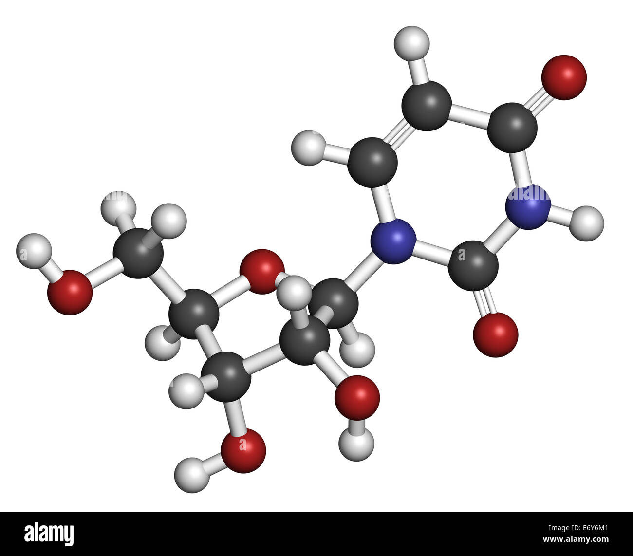 Uridine nucleoside molecule. Building block of RNA. Atoms are ...