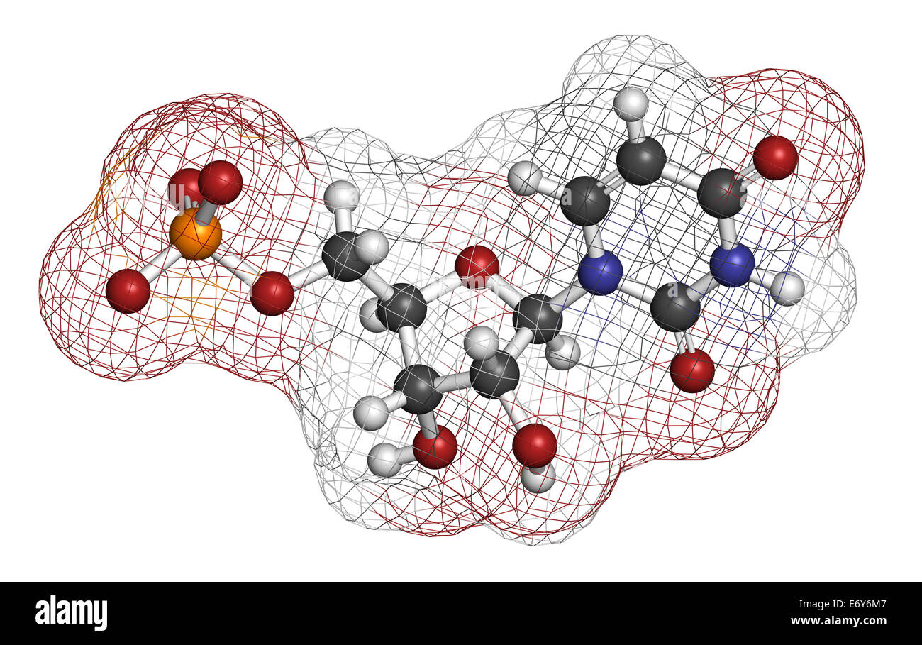 Uridylic acid hi-res stock photography and images - Alamy