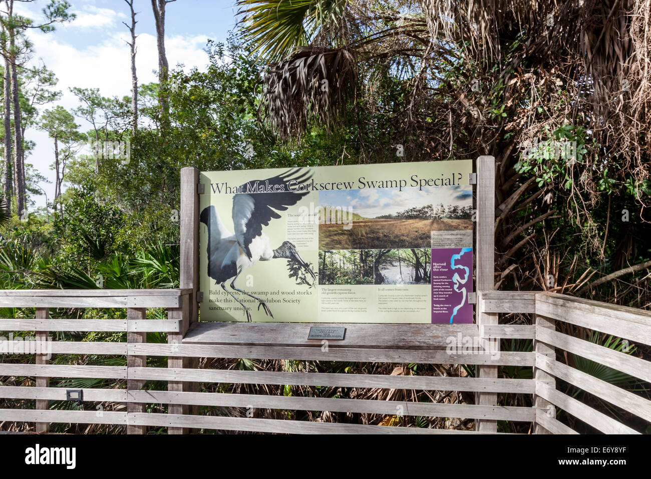 Informational signage along boardwalk leading to Corkscrew Swamp ...
