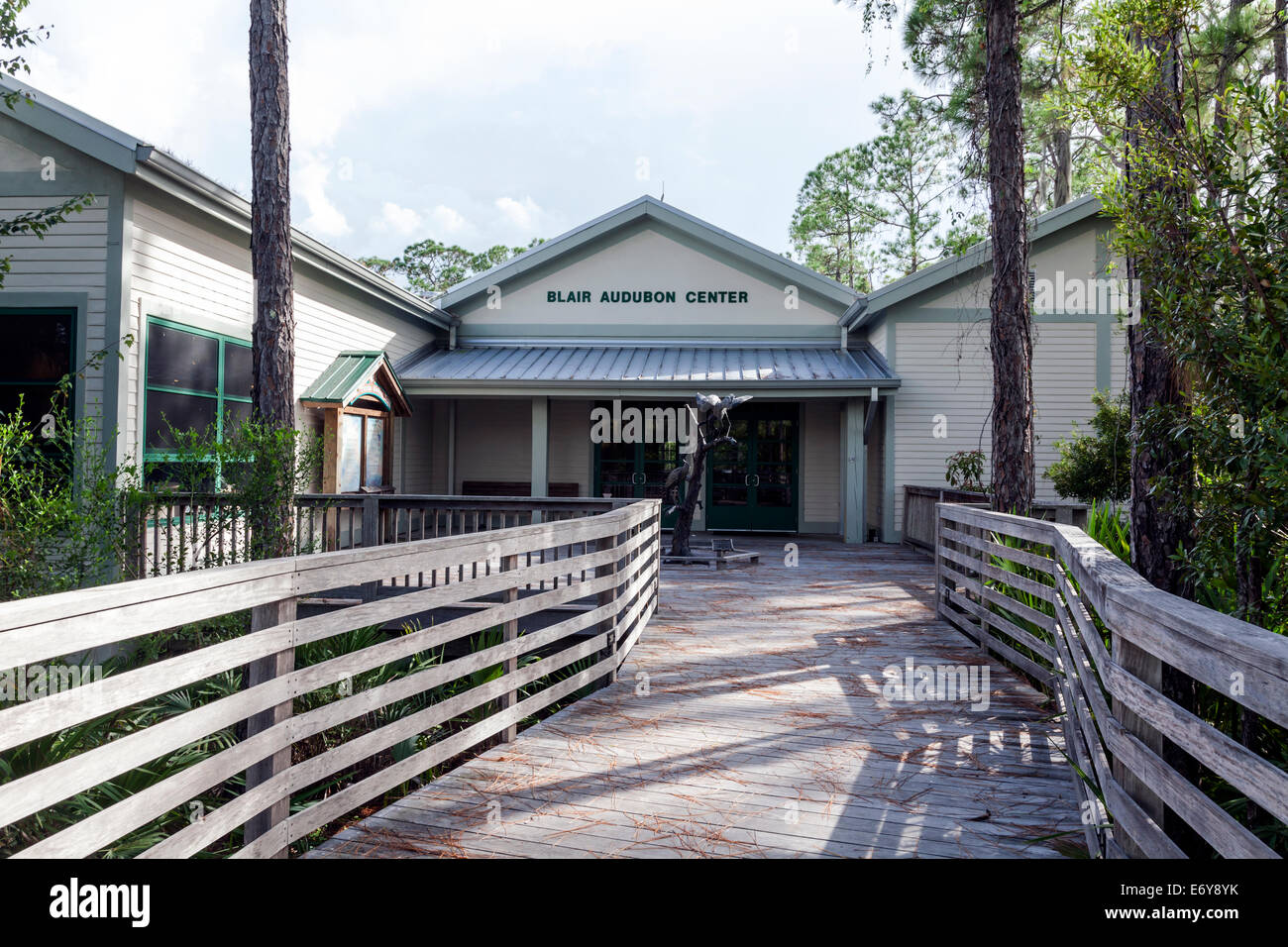 Corkscrew Swamp Sanctuary High Resolution Stock Photography and Images ...