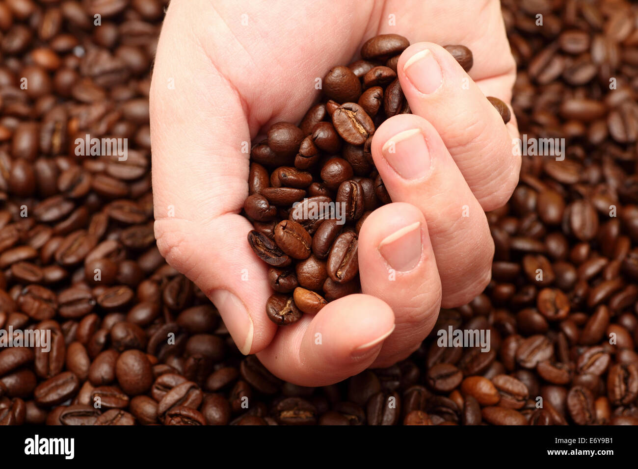 Coffee bean hand palm hi-res stock photography and images - Alamy