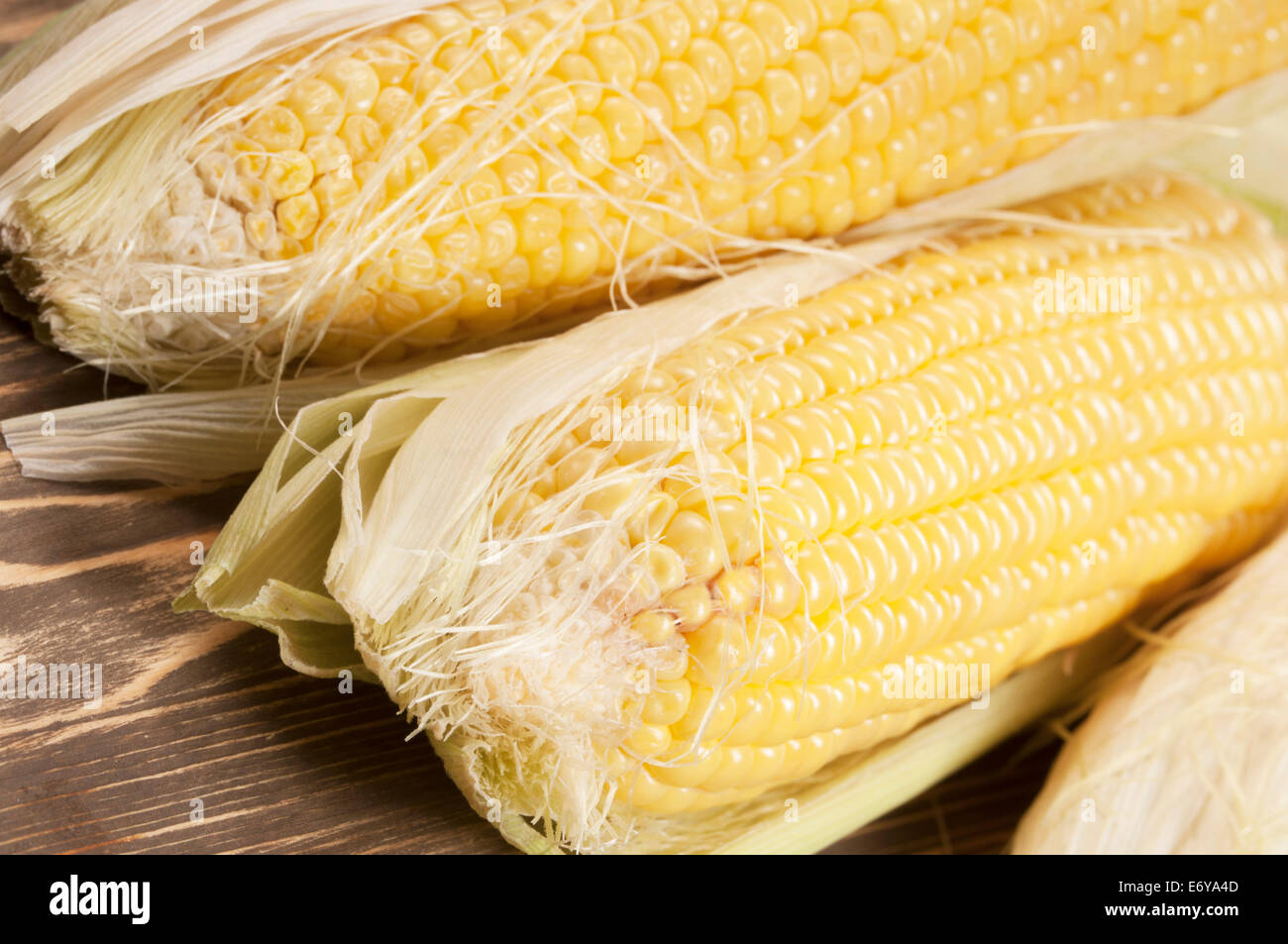 Corn cobs (maize), closeup shot, local focus Stock Photo - Alamy