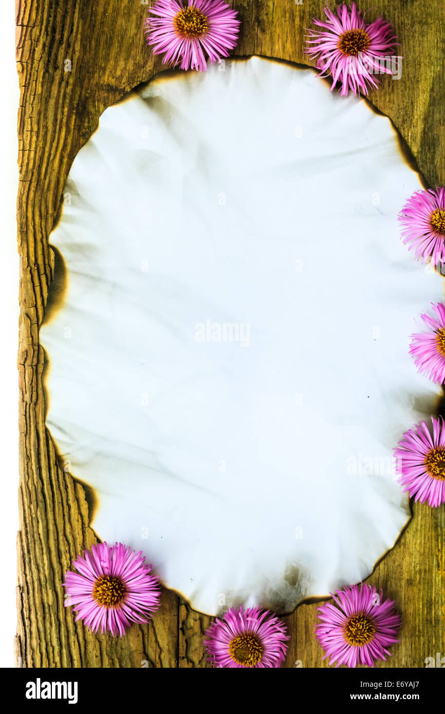 Autumn fall postcard design hi-res stock photography and images - Alamy