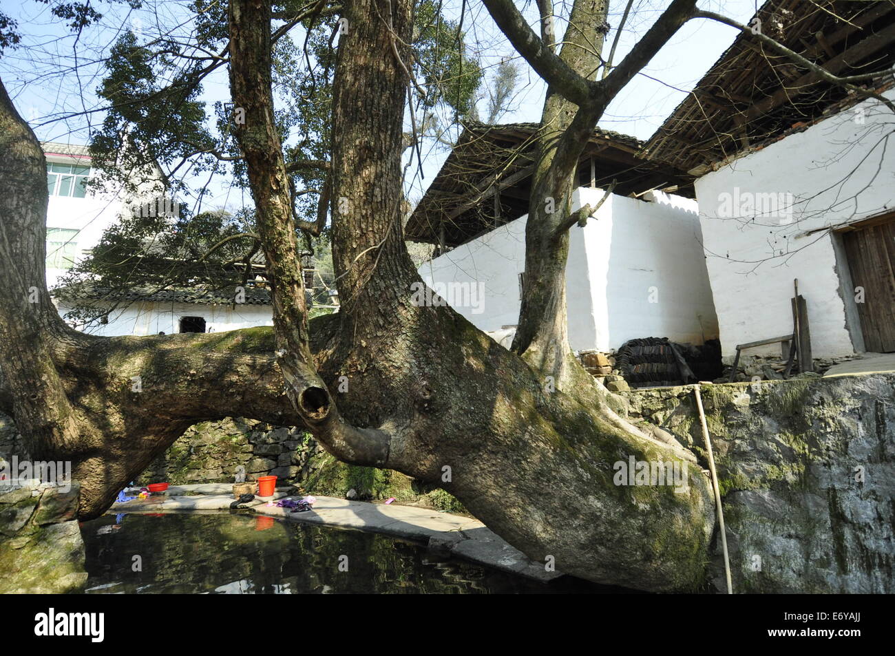 Suiyuan province hi-res stock photography and images - Alamy